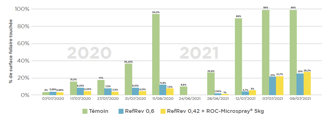 Pomme de terre - RaisOnAg